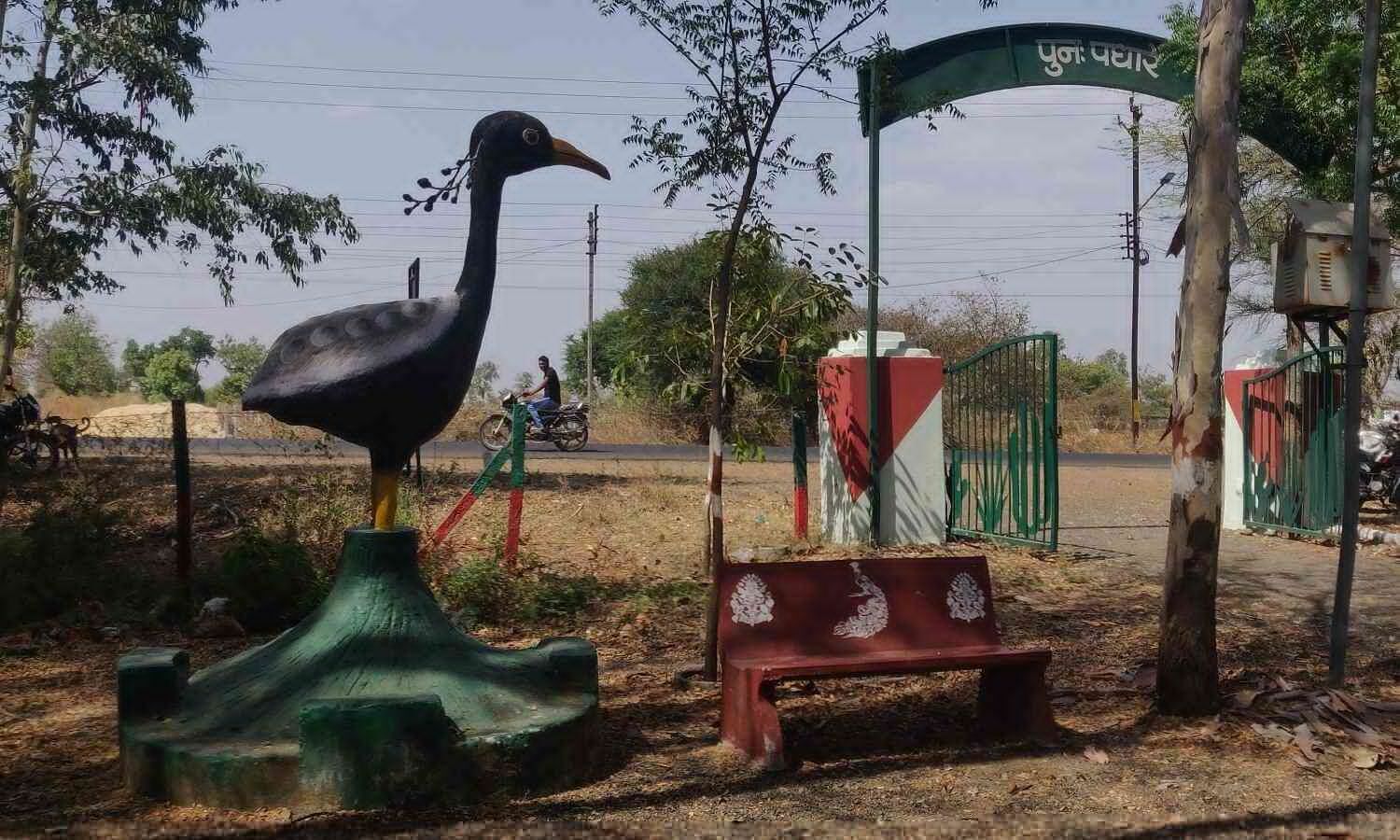 सैलाना के खरमोर अभ्यारण में गायब होते खरमोर, बढ़ती जा रही पवन चक्कियाँ ...